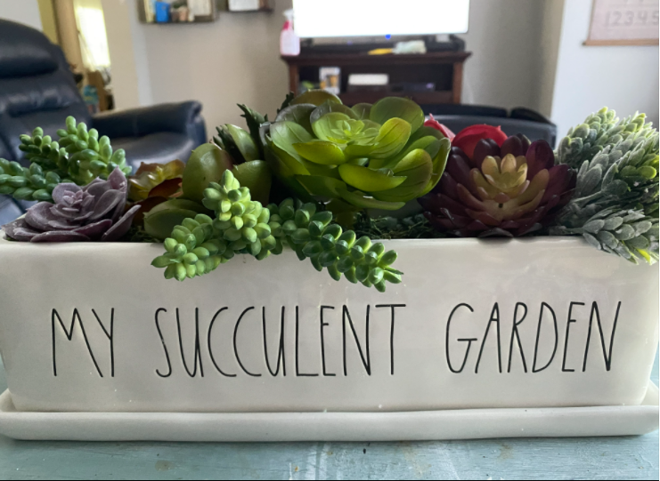 Amazon.com: DECOROUS: Hanging Plants