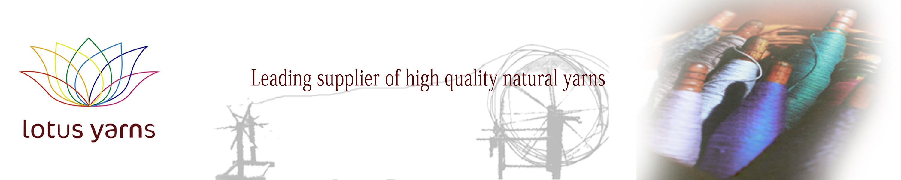 Amazon.com: Lotus Yarns: Lotus Yarns Interchangeable Needle