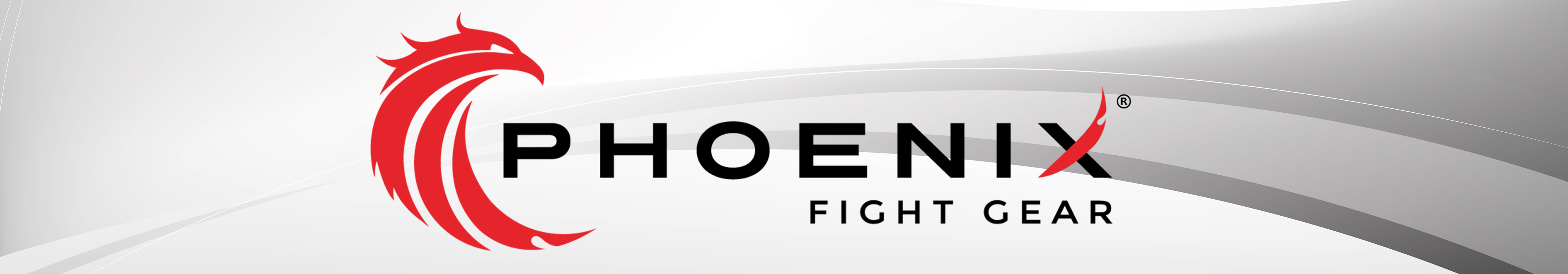 Amazon.com: Phoenix Fight Gear: Pads & Shields