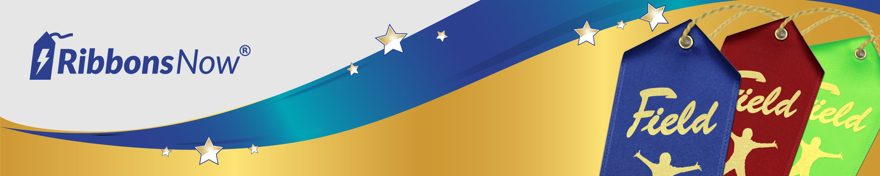 Amazon.com: RibbonsNow: Field Day Ribbons