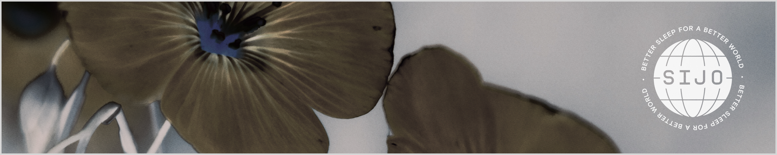 Amazon.com: SIJO: Linen Sheets