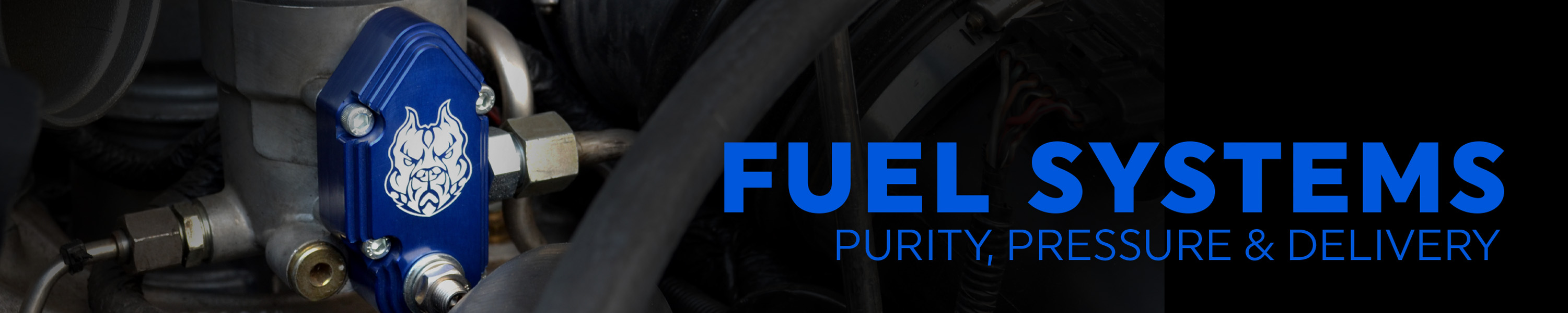 Amazon.com: Sinister Diesel: Fuel System