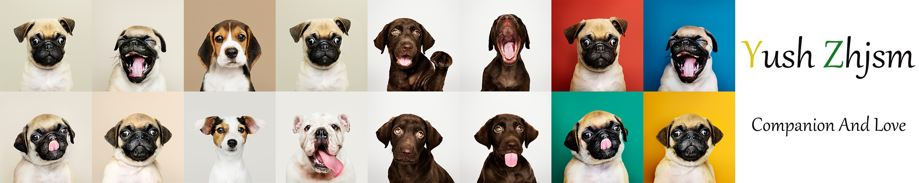 Amazon.com: Yush Zhjsm: New