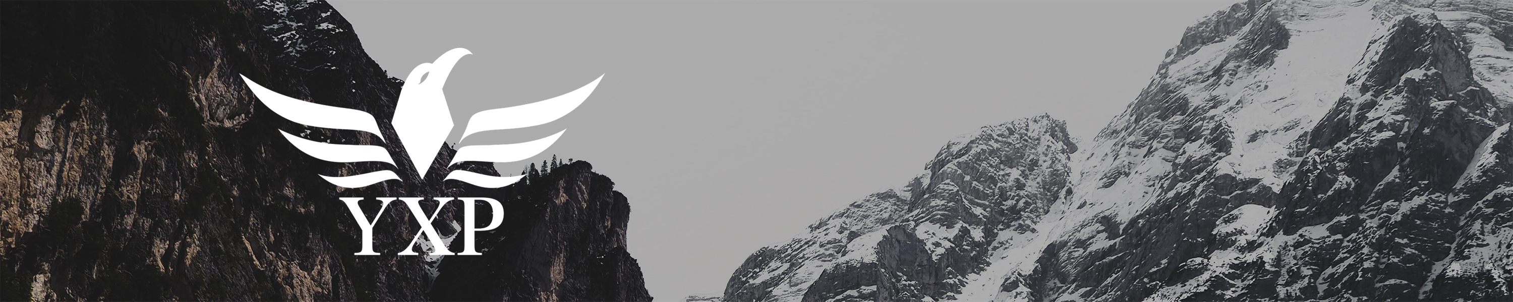 Amazon.com: YXP: YXP