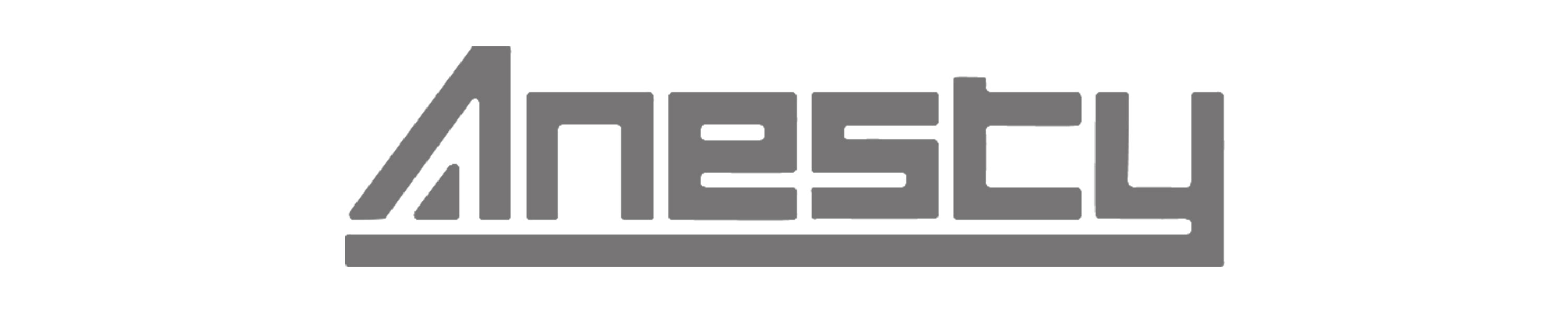 Amazon.com: Anesty: new arrivals