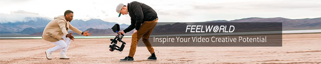 Amazon.com: Feelworld: Wireless Video Transmission