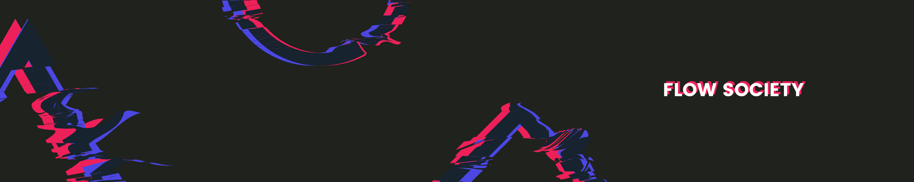 Amazon.com: Flow Society