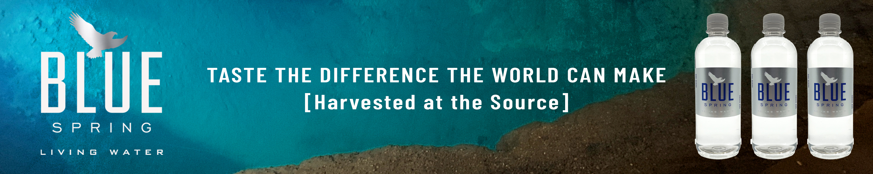 Amazon.com: Blue Spring Living Water: Our Source