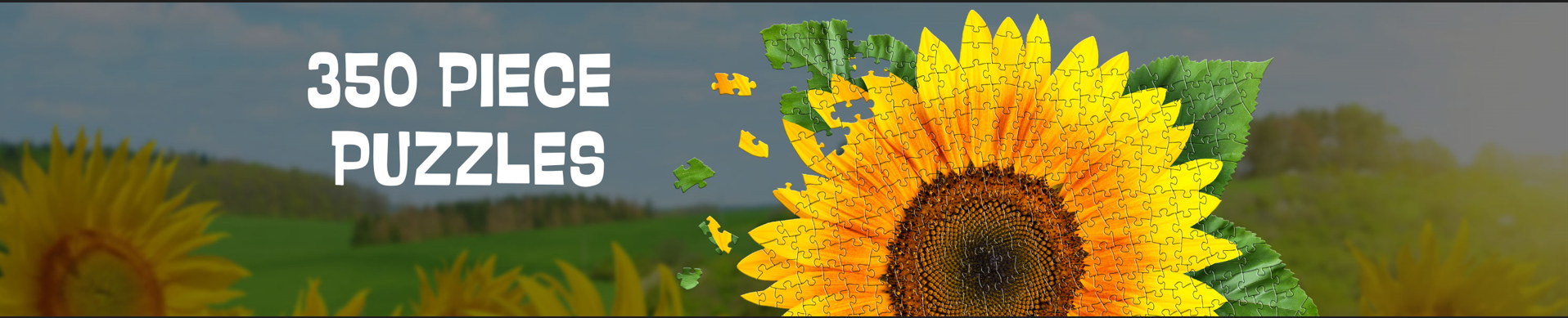 Amazon.com: Madd Capp Games & Puzzles: 350 pieces