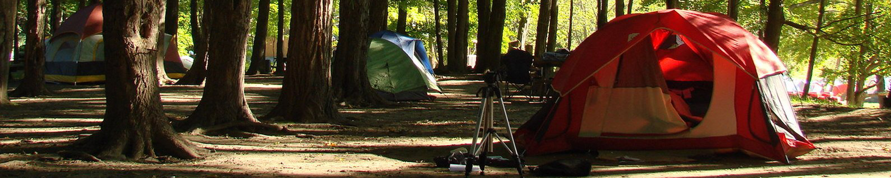 Amazon.com: Lfhelper: Outdoor