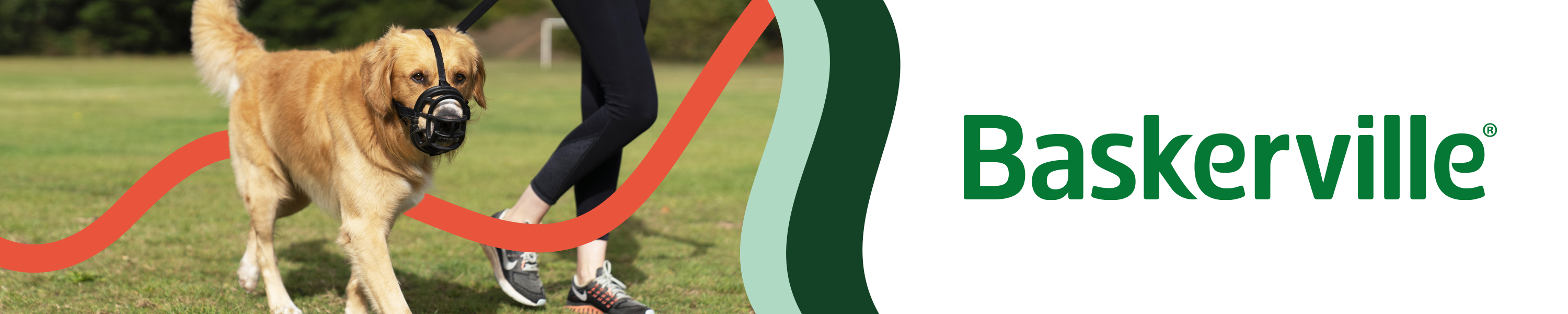 Amazon.com: Company of Animals: Baskerville