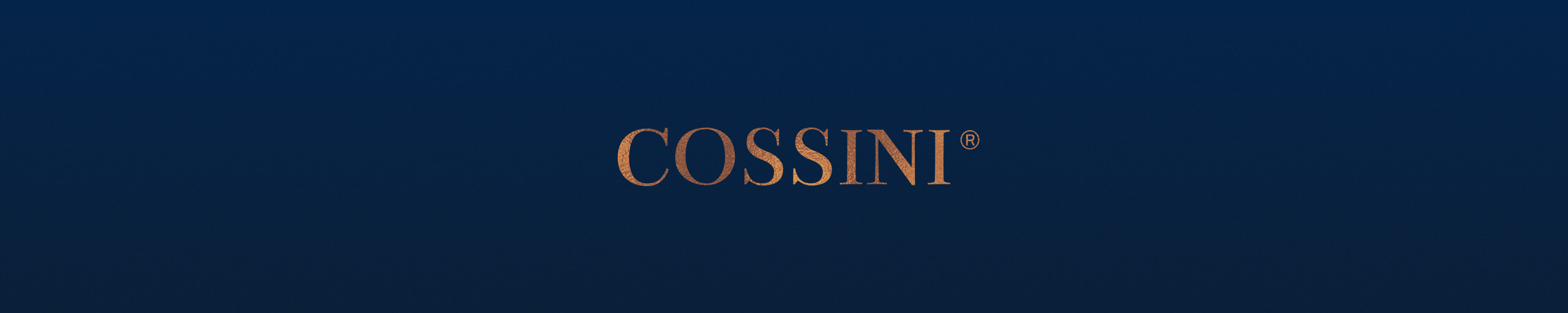 Amazon.com: COSSINI