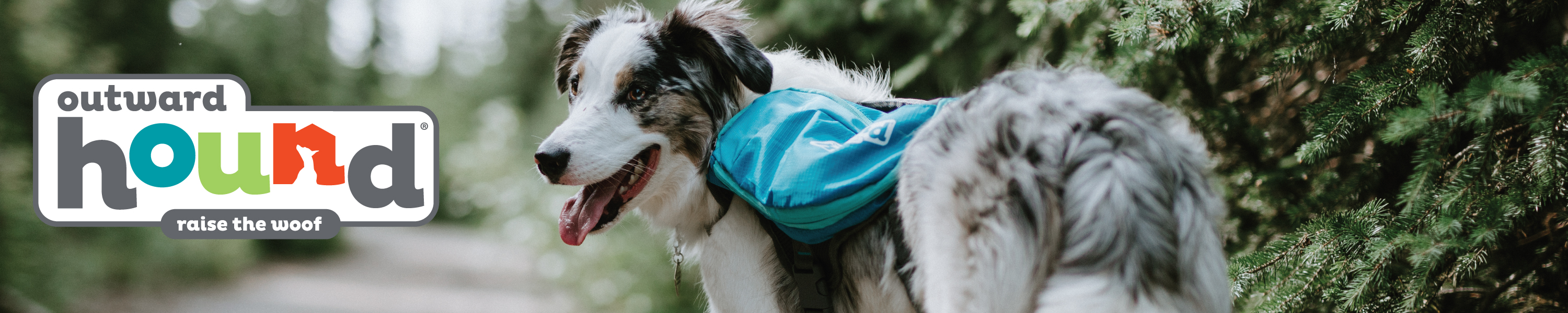 Amazon.com: Outward Hound : Dog Backpacks