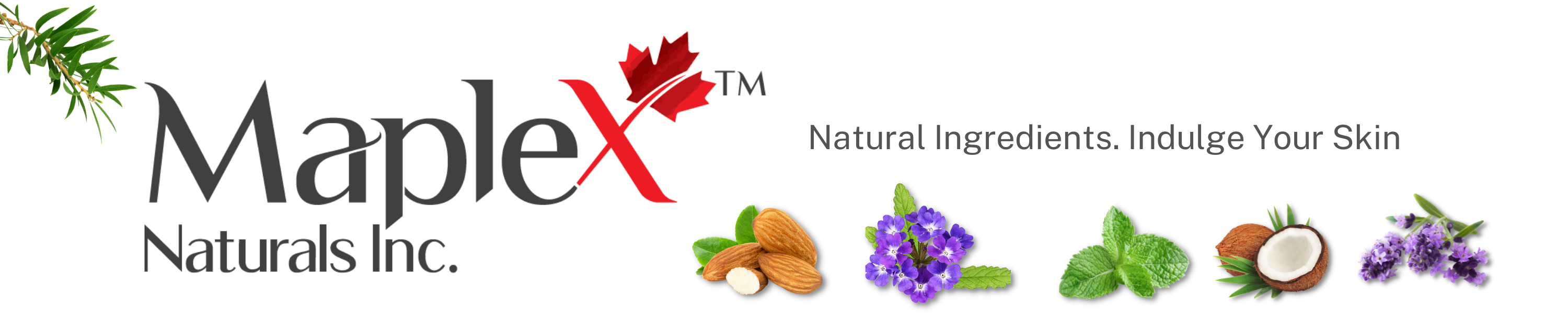 Amazon.ca: MapleX Naturals