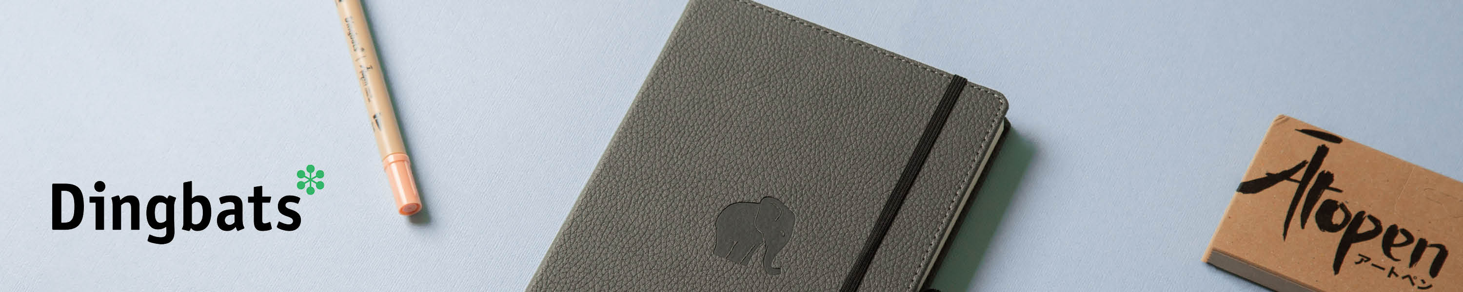 Amazon.ca: Dingbats* Notebooks