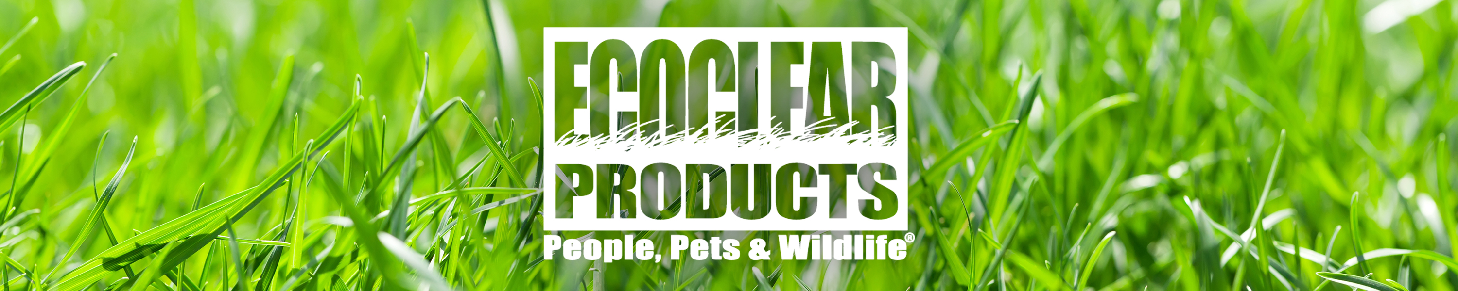 Amazon.ca: EcoClear Products