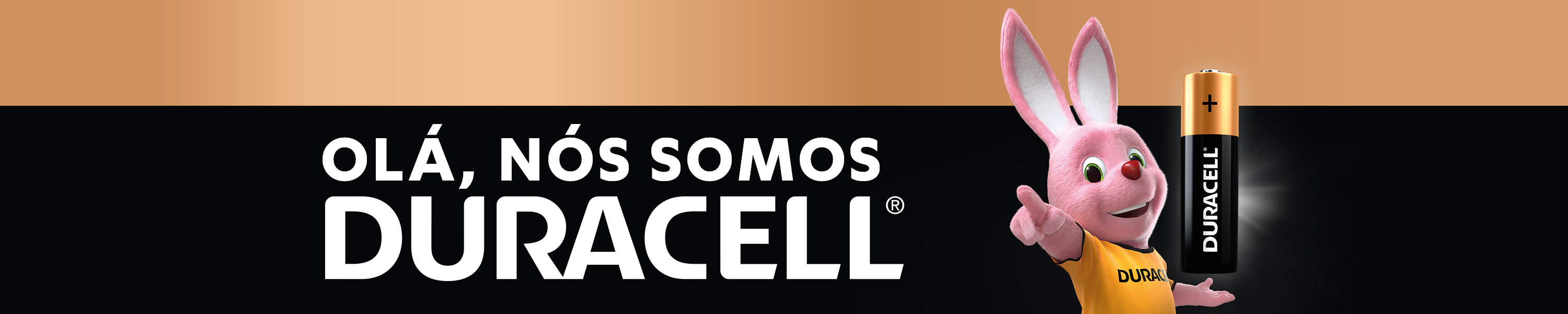 Amazon.com.br: Duracell