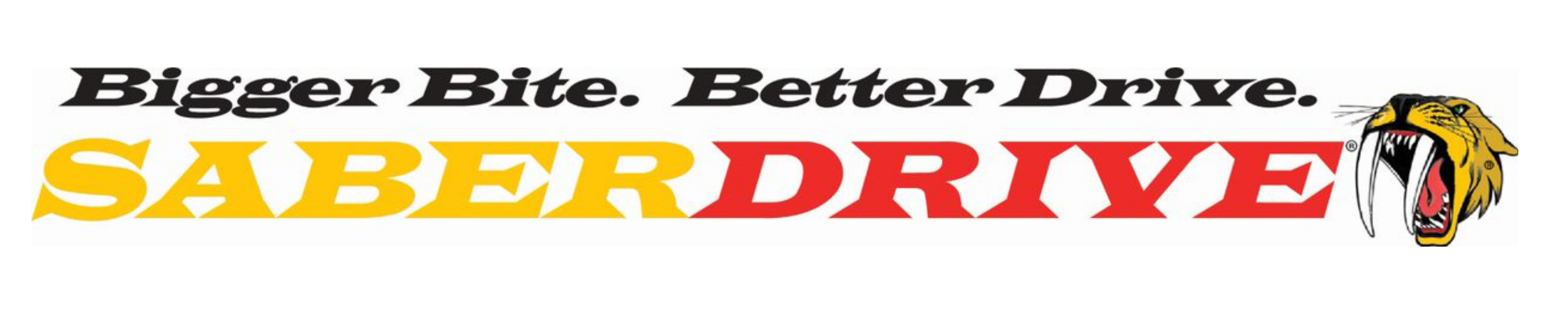 Amazon.com: Saber Drive: MULTI-PURPOSE CONSTRUCTION SCREWS