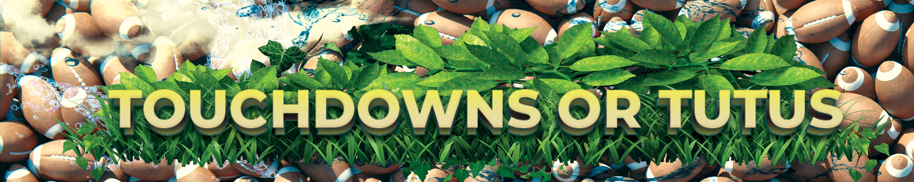 Amazon.com: VictoryStore: Touchdown or Tutus