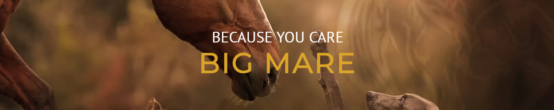 Amazon.com: Big Mare: Equine Products