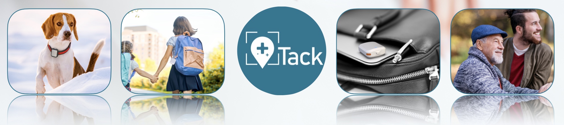 Amazon.com: Tack: Videos and Support