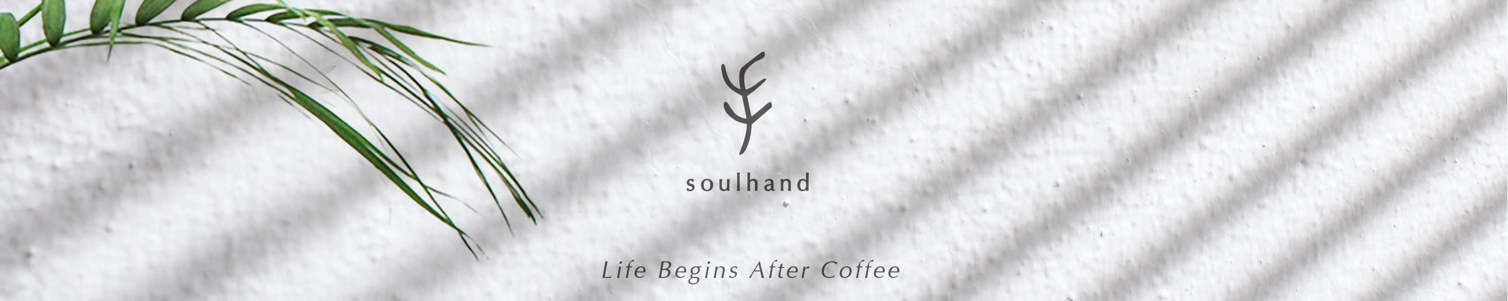 Amazon.com: SOUL HAND