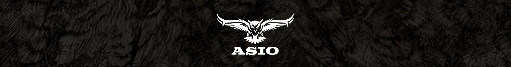 Amazon.com: ASIO Gear