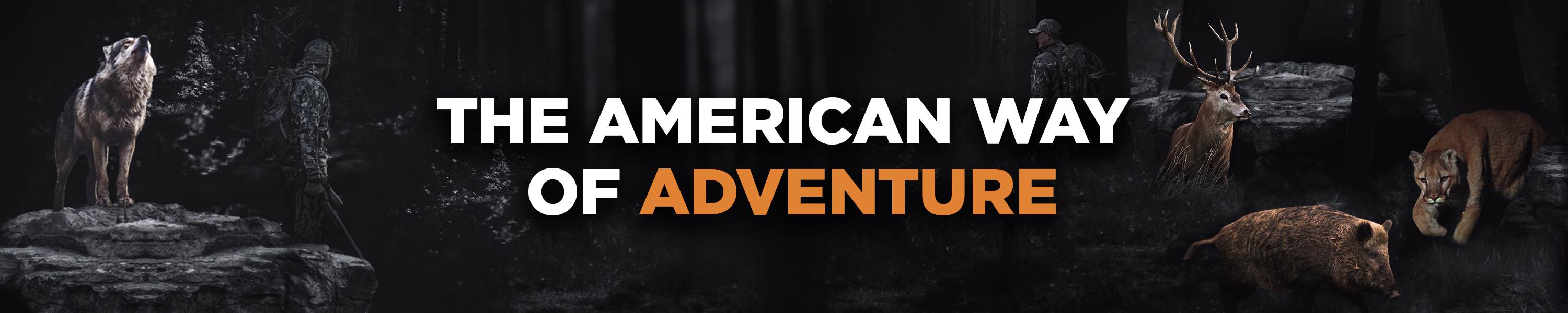 Amazon.com: CREATIVE XP: Compound Bows