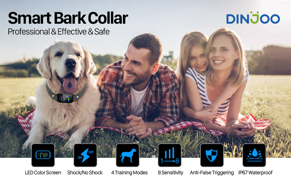 Amazon.com: DINJOO: Video