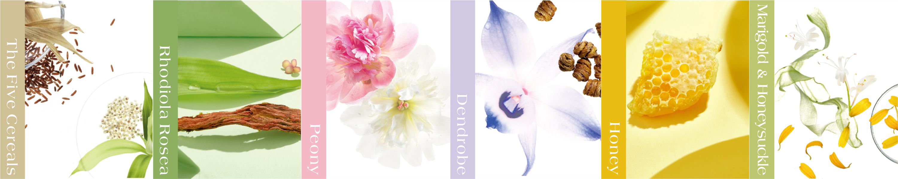 Amazon.com: WEI: WEI BEAUTY