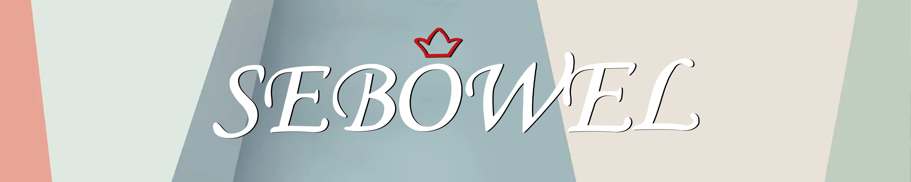 Amazon.com: SEBOWEL: SKIRTS