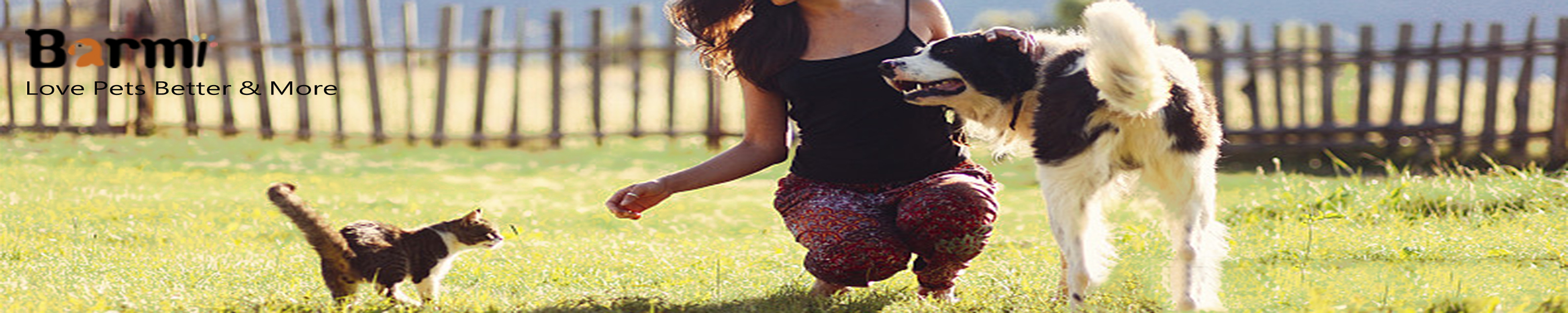 Amazon.com: BARMI: Cat