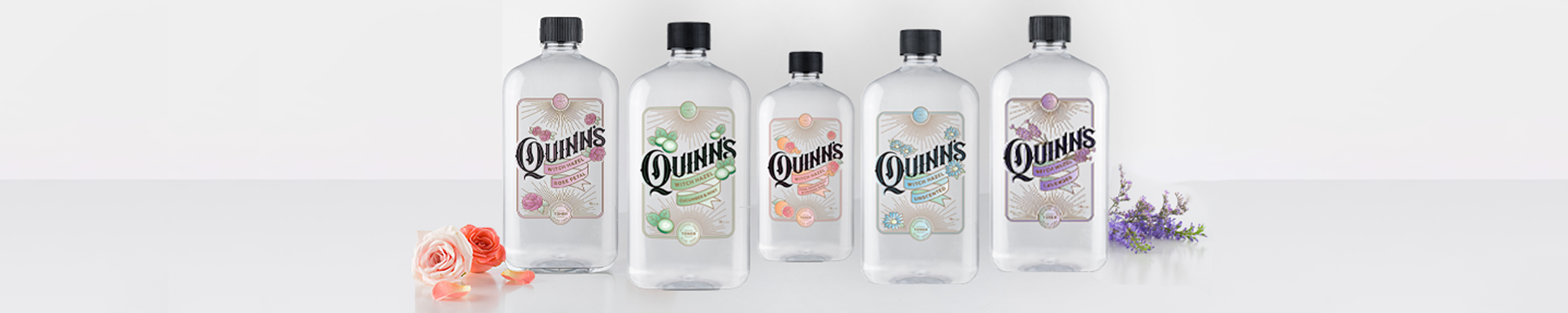 Amazon.com: Quinn's