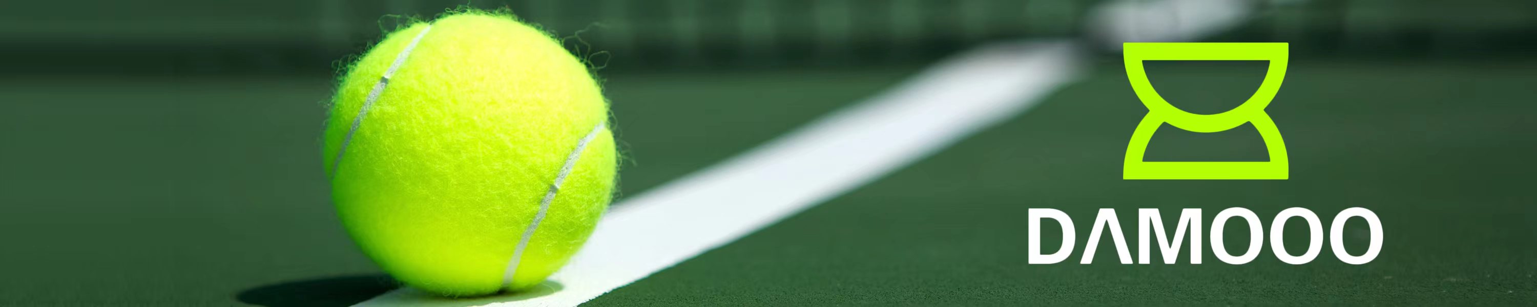 Amazon.com: Damoo : Precut Tennis balls