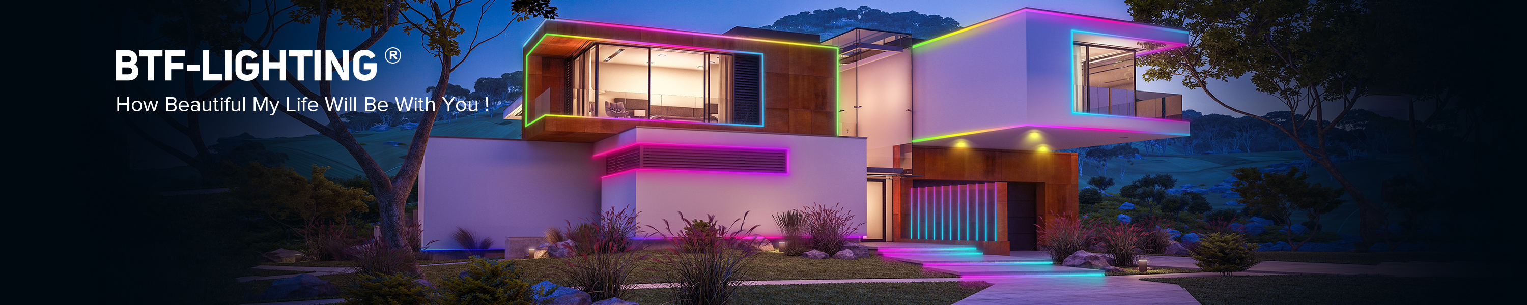 Amazon.com: BTF-LIGHTING
