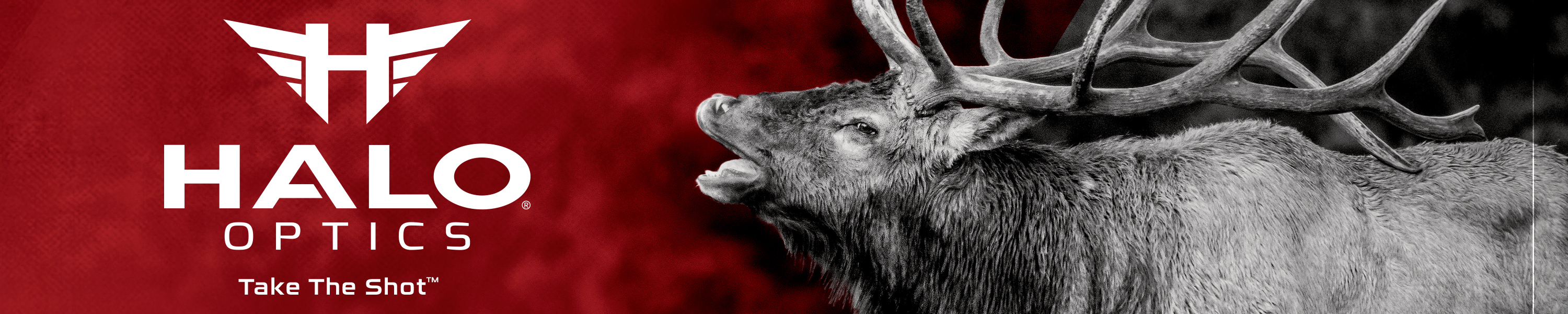 Amazon.com: Halo Optics: Z Series