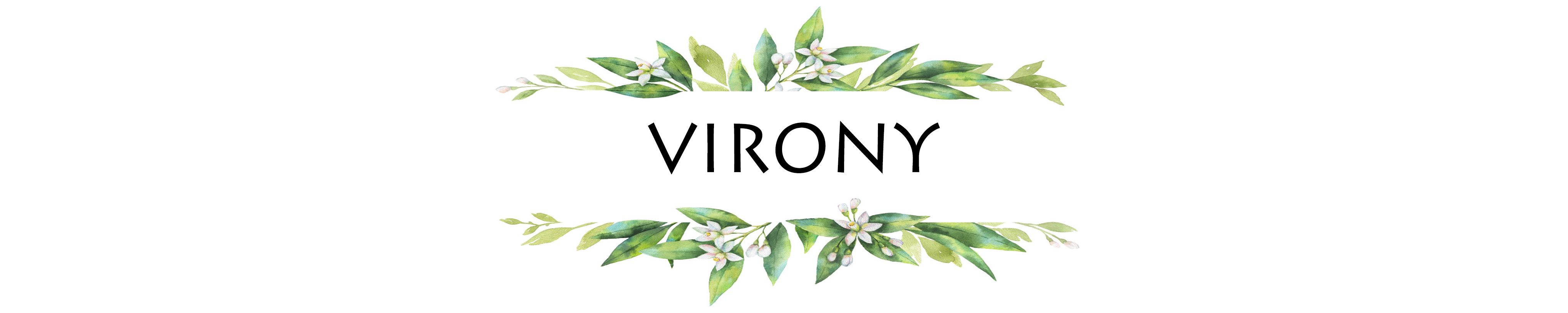 Amazon.com: VIRONY