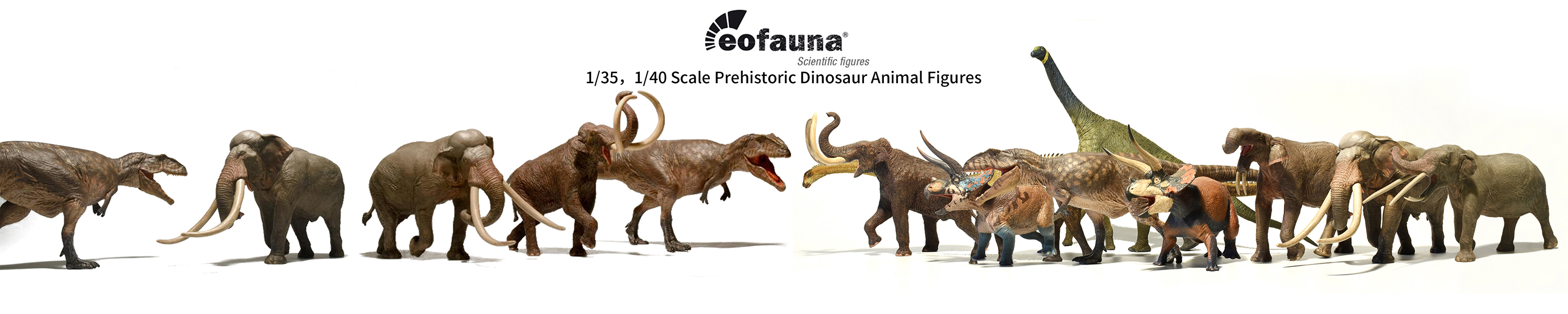 Amazon.com: WLNTDOLA: EOFAUNA