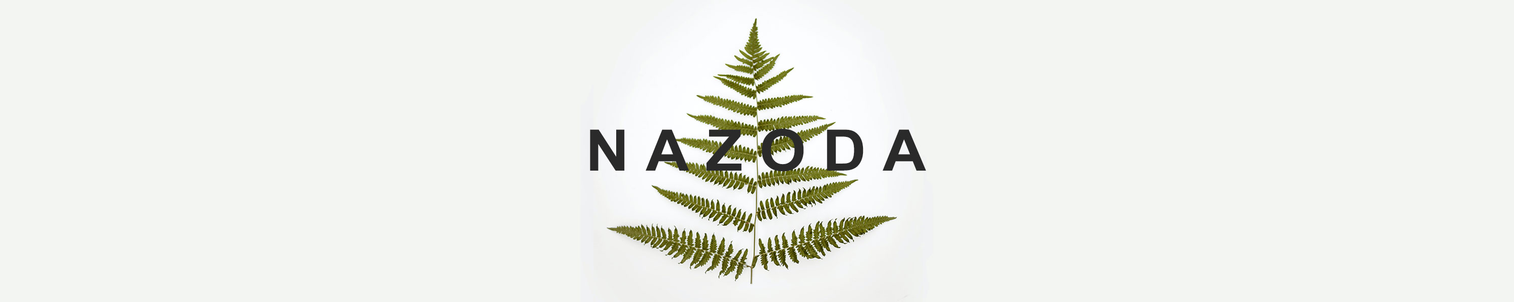 Amazon.com: NAZODA