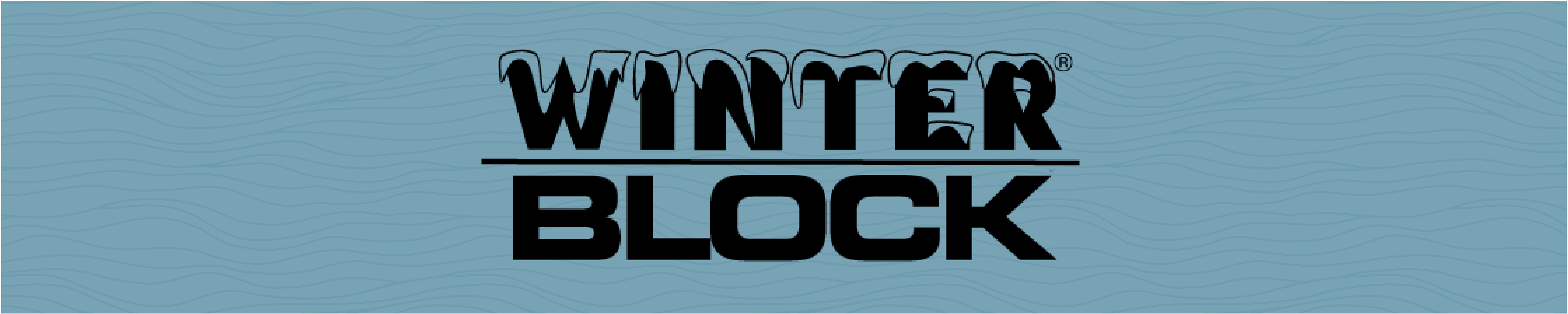 Amazon.com: Winter Block