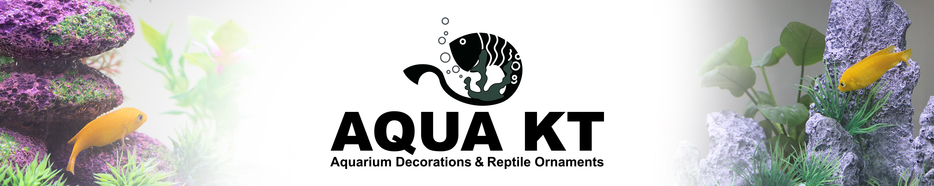 Amazon.com: AQUA KT