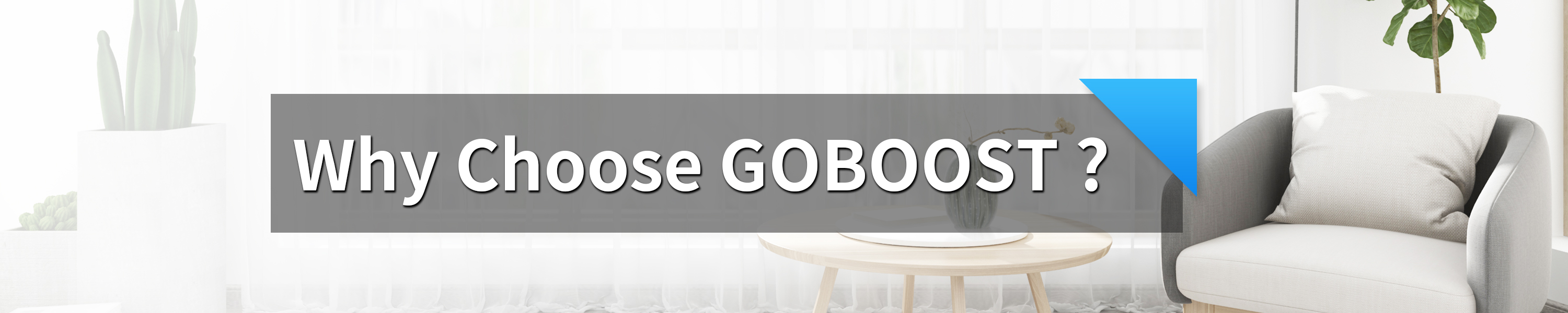 Amazon.com: GOBOOST: ABOUT GOBOOST