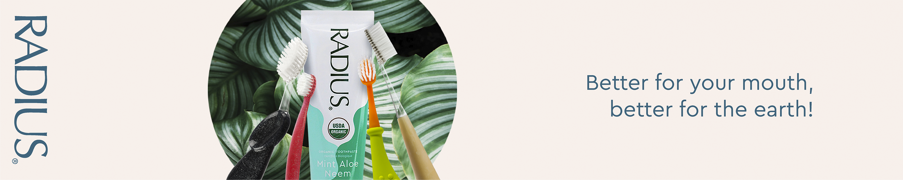 Amazon.com: RADIUS Corporation