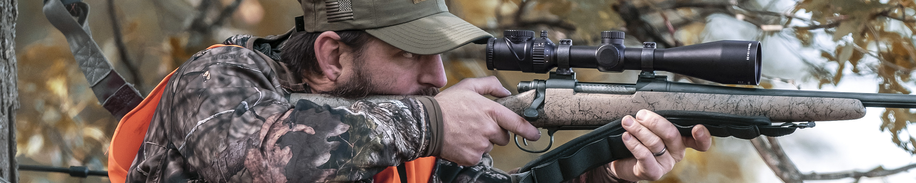 Amazon.com: Trijicon: AccuPoint®
