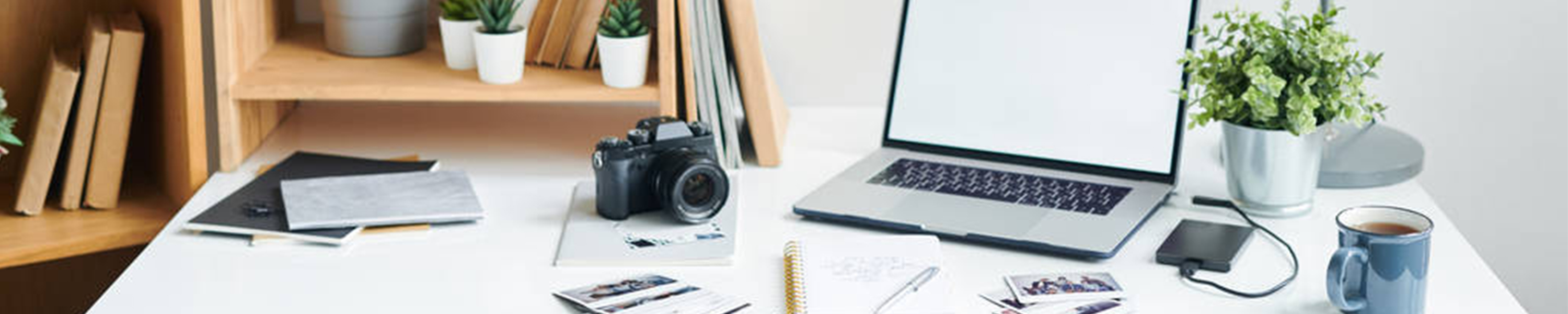 Amazon.com.mx: Yosoo Health Gear: Accesorios de Computador