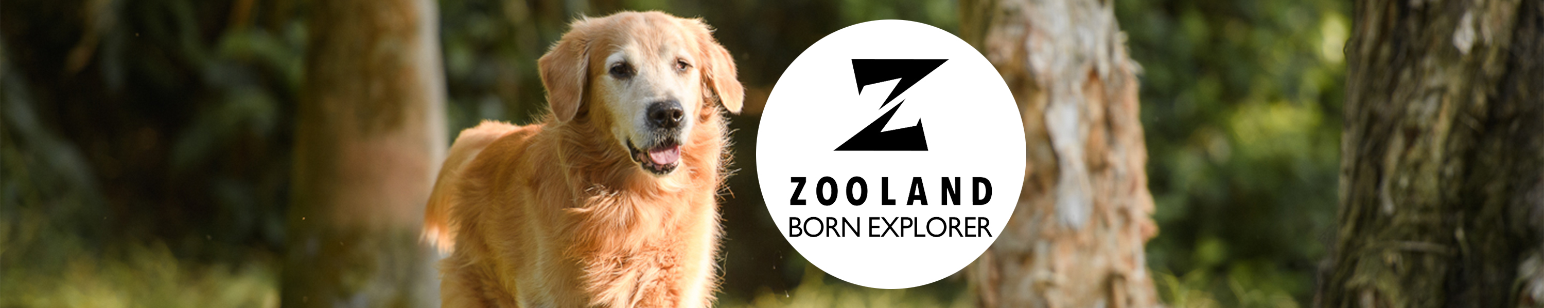 Amazon.ca: ZOOLAND: Dog Chew Toys