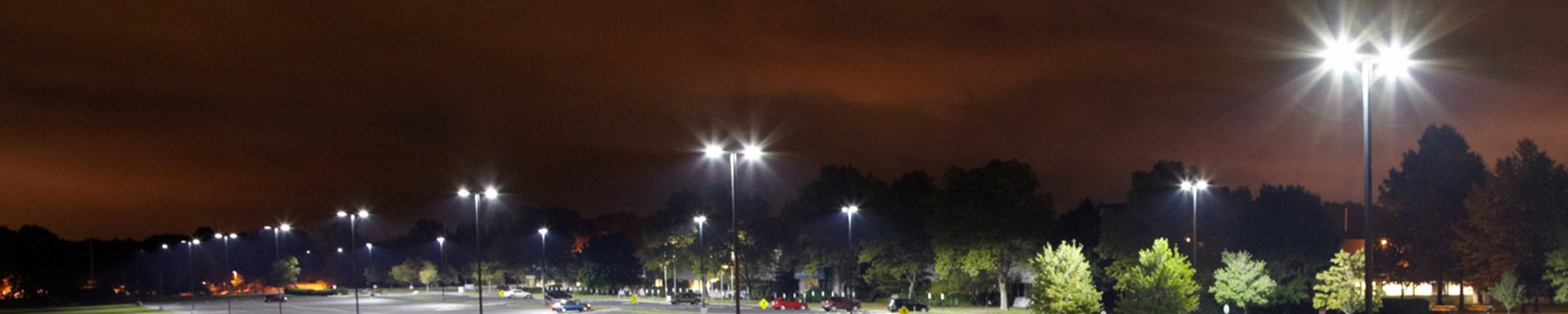 Amazon.ca: Plan Hoot