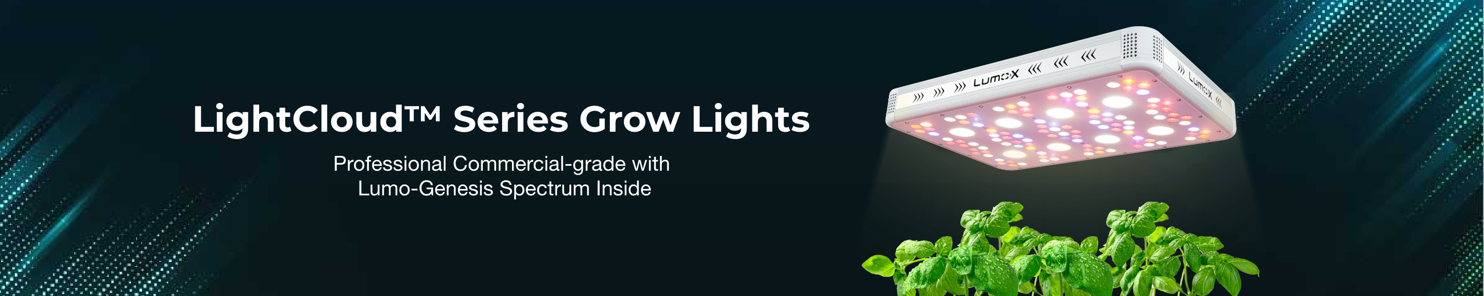 Amazon.ca: Lumo-X: Grow Lights