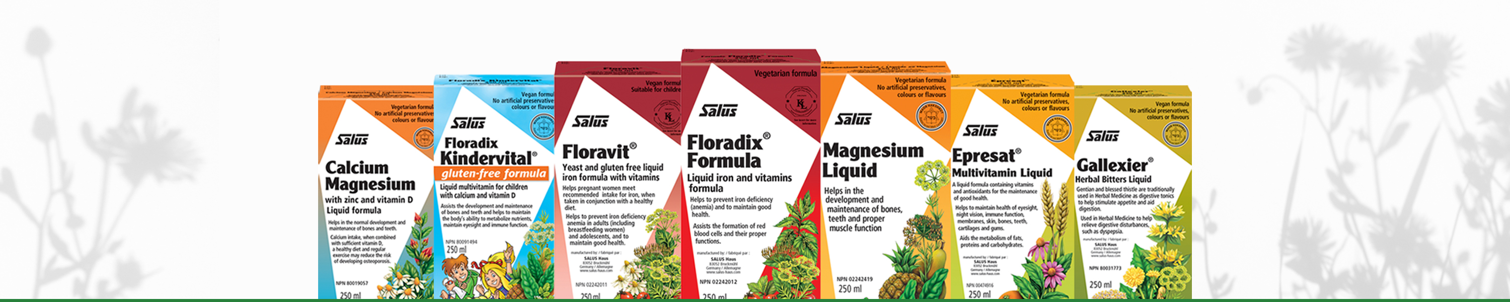 Amazon.ca: STRENGTH FROM NATURE: DIGESTIVE HEALTH