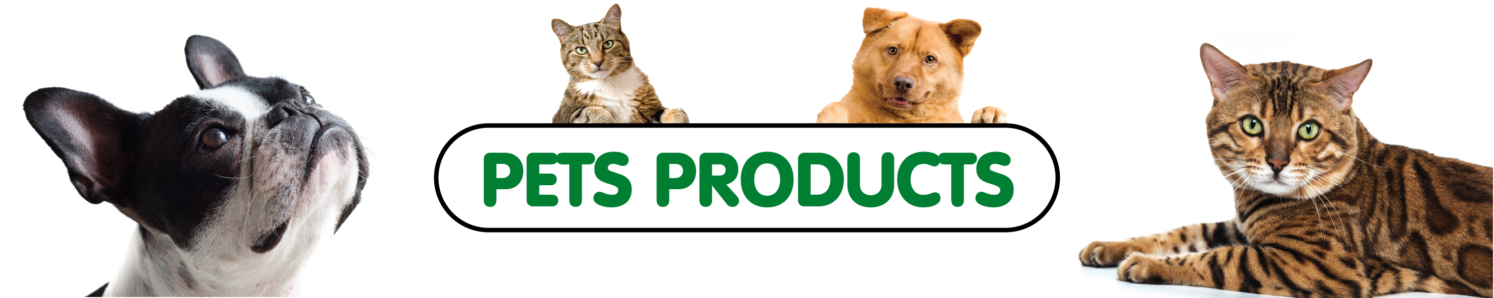Amazon.ca: Land Art: PETS